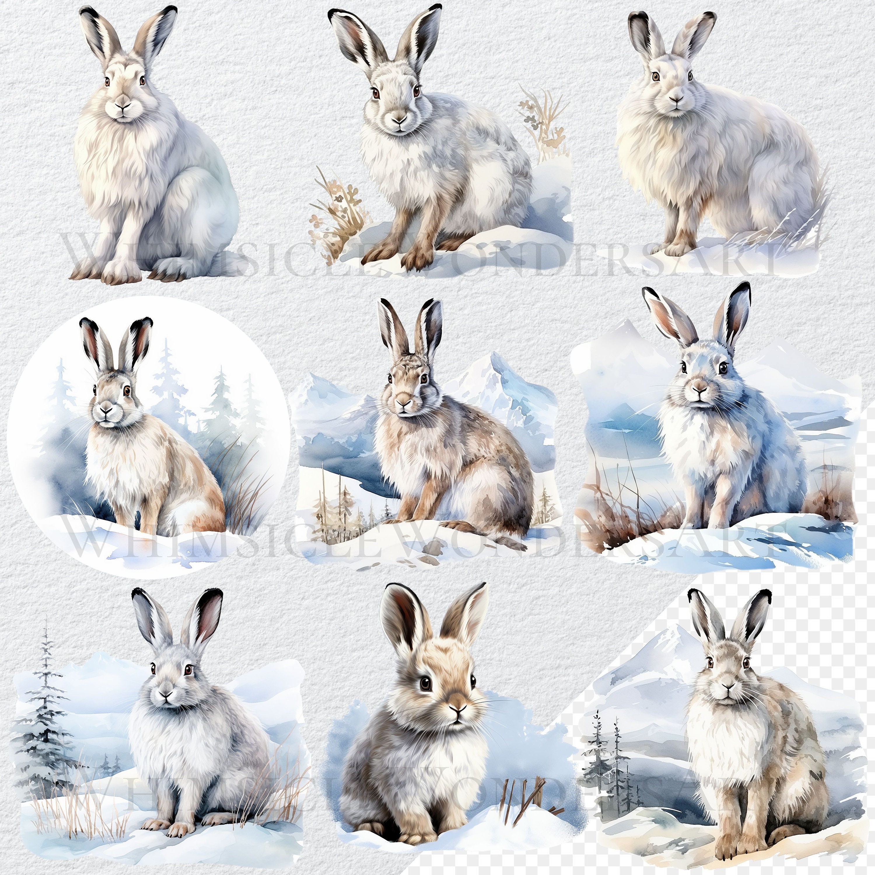 Watercolor Arctic Hare Clipart Bundle High Quality PNG Digital Download ...