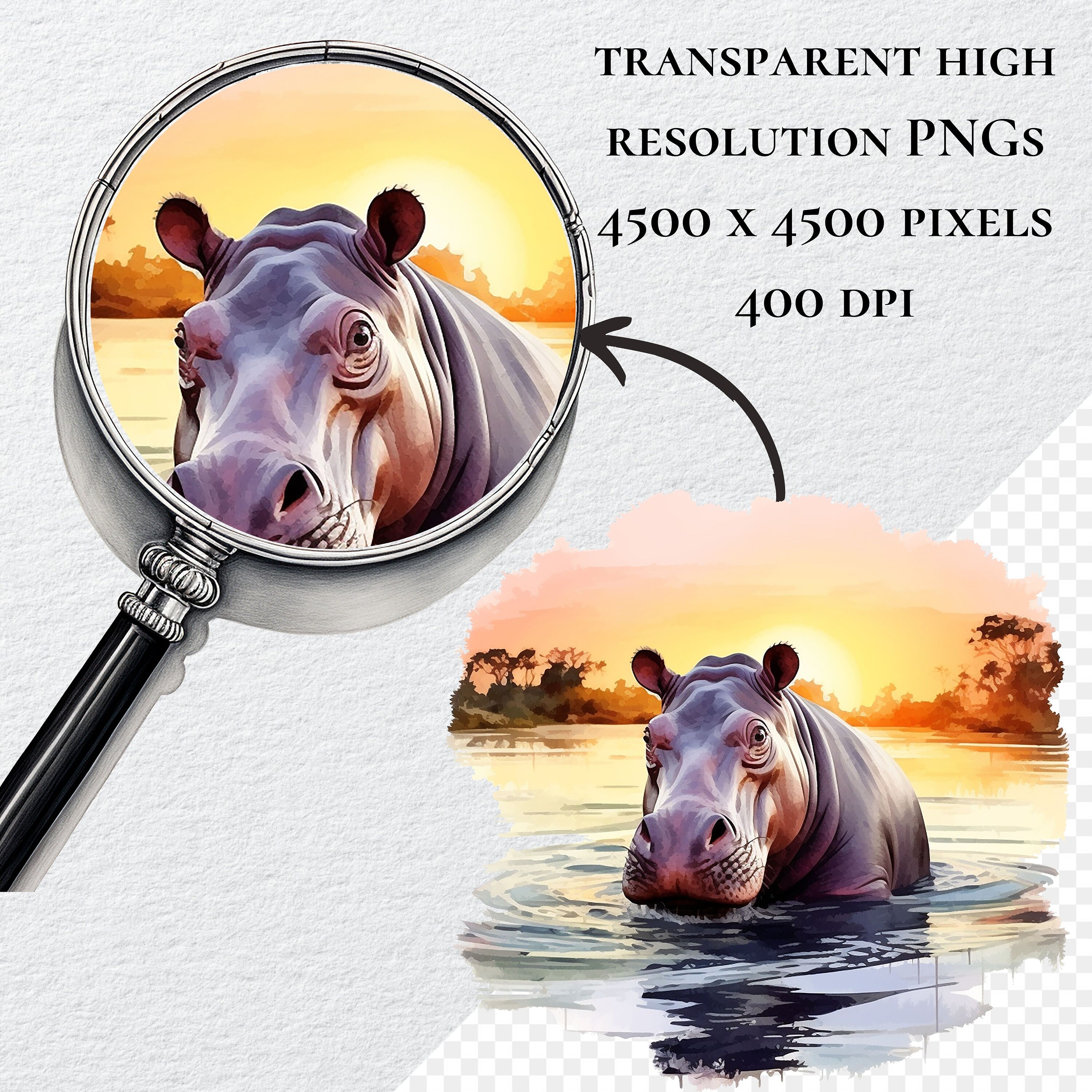 Watercolor Hippo Clipart Bundle 10 High Quality PNG Digital Download ...