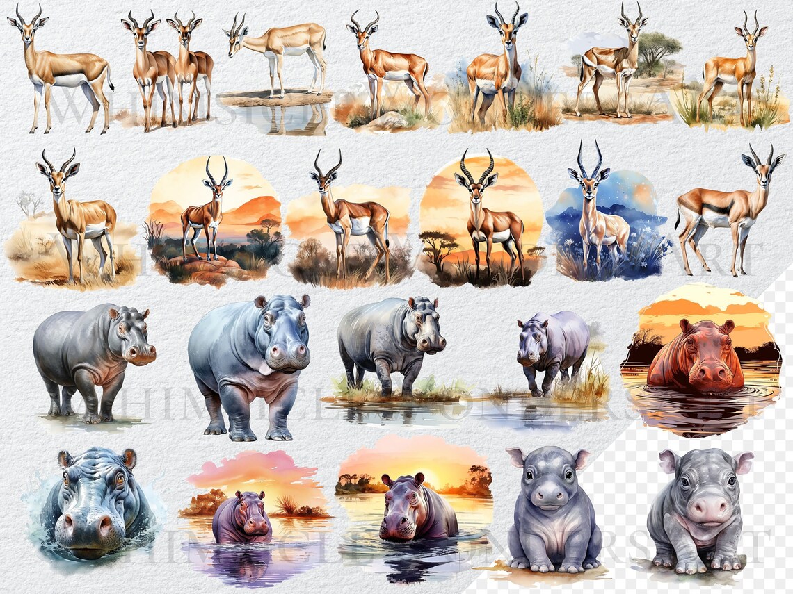 Watercolor Safari Animals Clipart Bundle, 200 Pngs (digital Download ...
