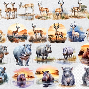 Watercolor Safari Animals Clipart Bundle 200 High Quality PNG Digital ...