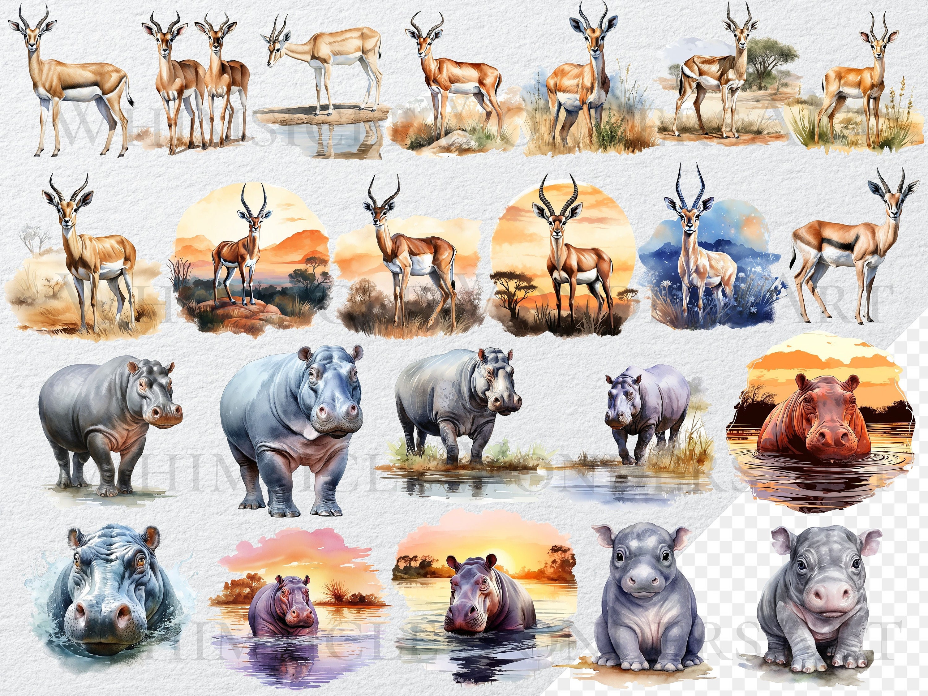 Watercolor Safari Animals Clipart Bundle 200 High Quality PNG Digital ...