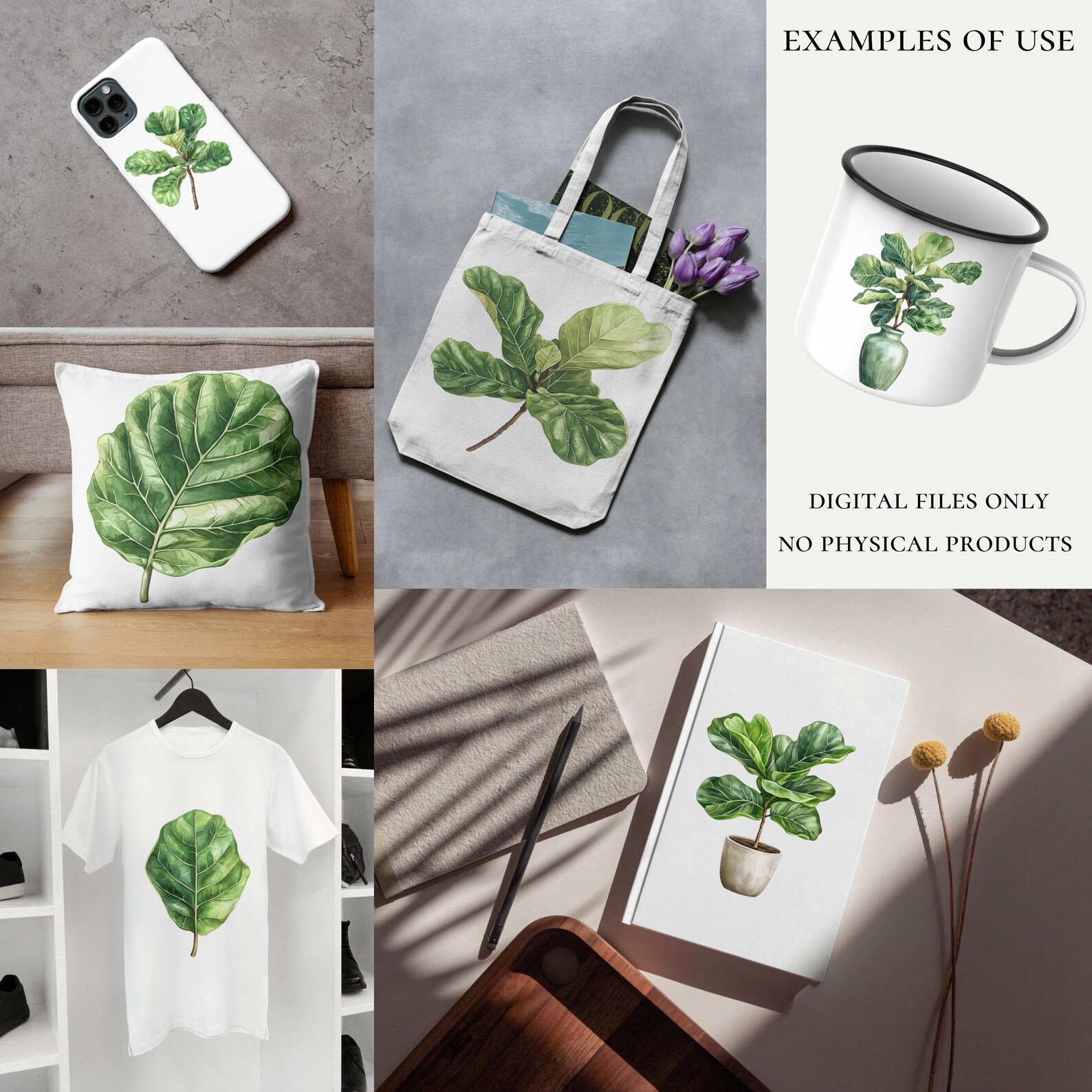 Watercolor Fiddle Leaf Fig Clipart Bundle (30 PNG) - Etsy