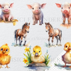 Farm Animals Clipart Bundle 22 High Quality PNG Digital Download ...