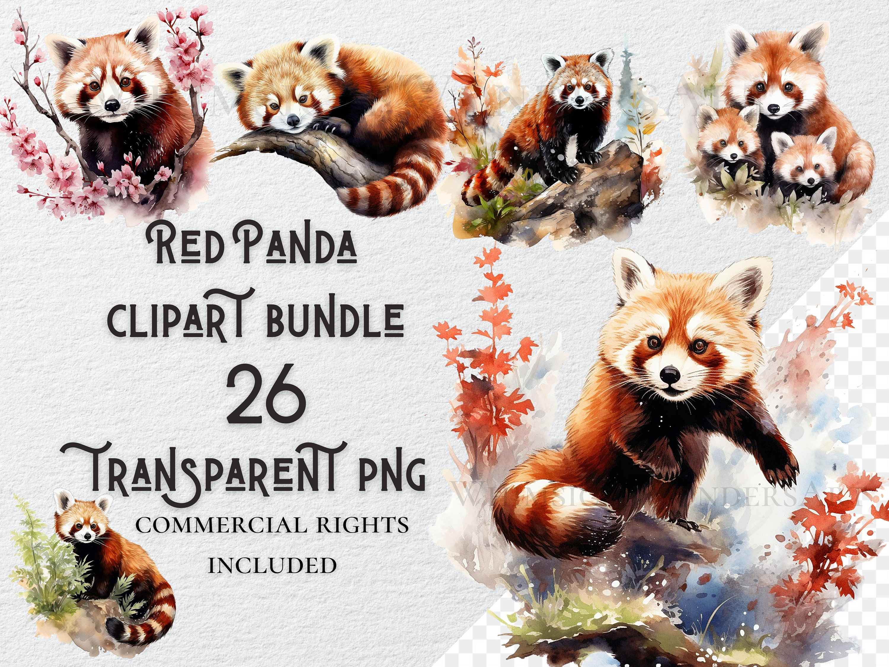 Cute Red Panda Clipart Bundle 26 High Quality PNG Digital - Etsy