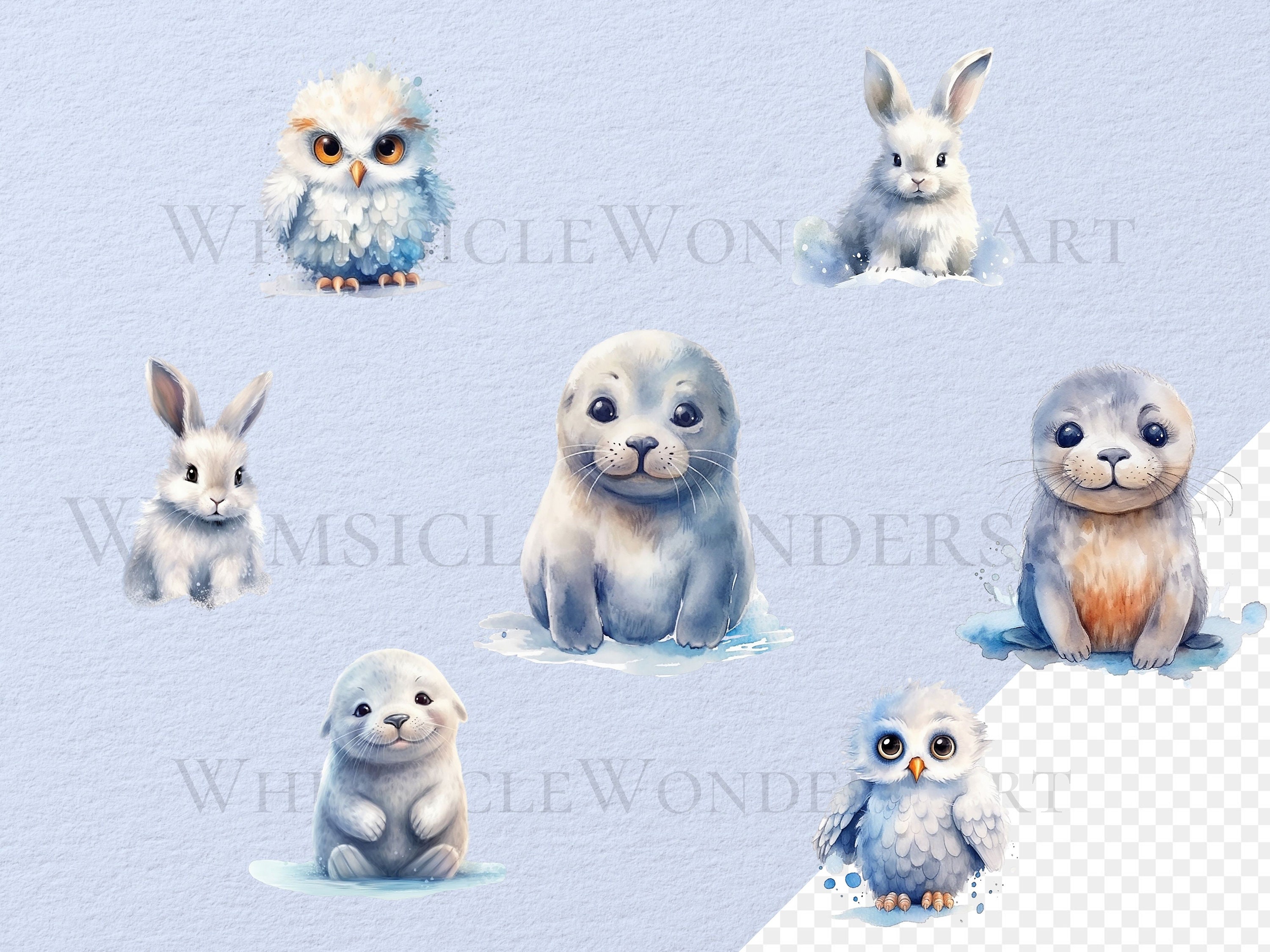 Arctic Clipart Bundle 21 High Quality PNG Digital Download - Etsy