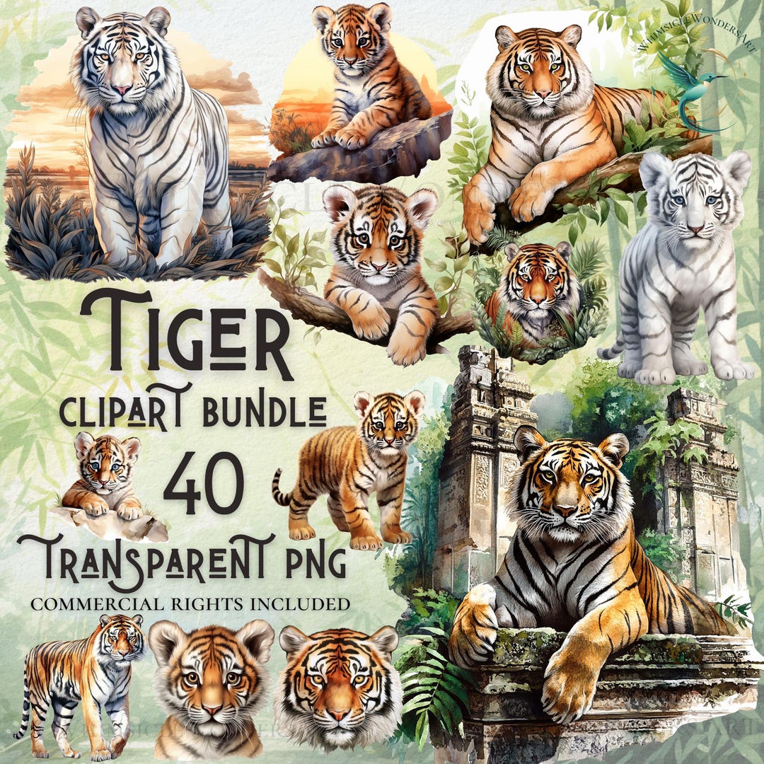 Watercolor Tiger Clipart Bundle: 40 PNG Images (digital Download) - Etsy
