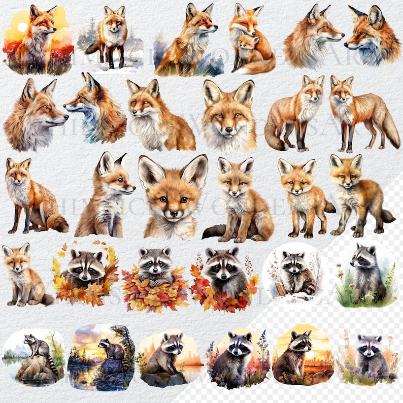 Watercolor Forest Animals Clipart Bundle (PNG Digital Download) - Etsy