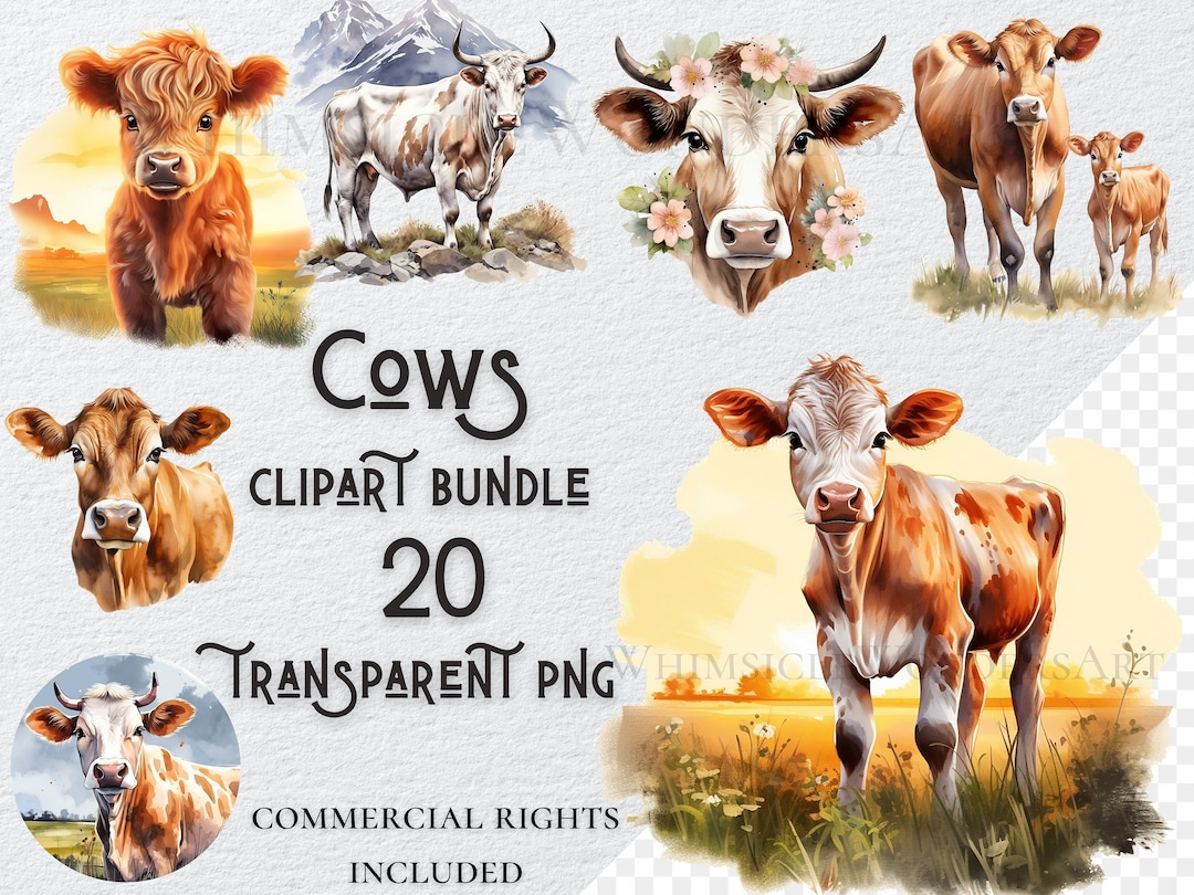 Watercolor Cow Clipart Bundle 20 High Quality PNG Digital - Etsy