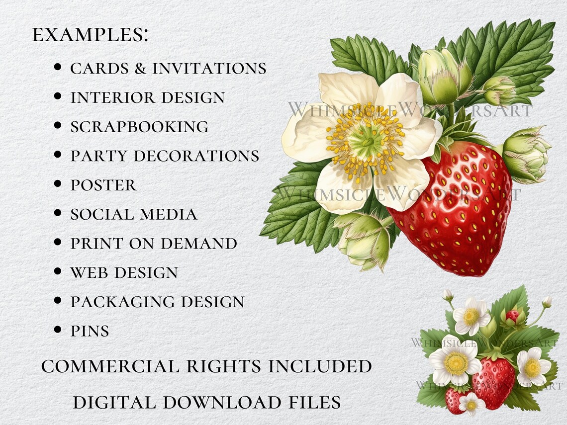 Strawberry Clipart Bundle 22 High Quality PNG Digital Download ...