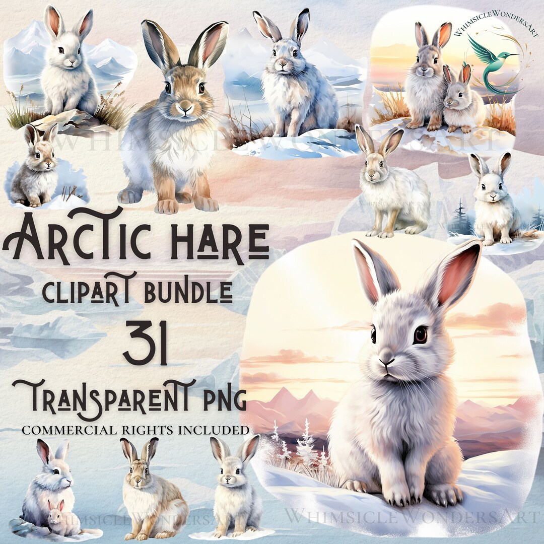 Watercolor Arctic Hare Clipart Bundle High Quality PNG Digital Download ...