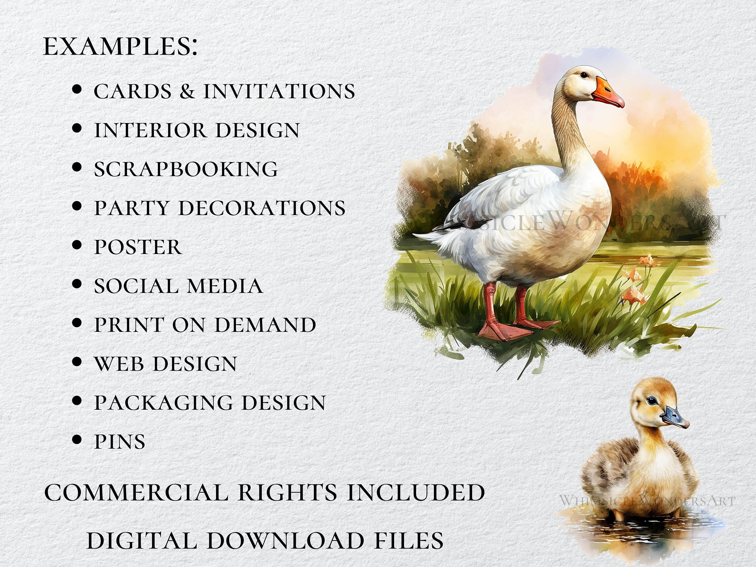 Watercolor Goose Clipart Bundle 20 High Quality PNG Digital Download ...