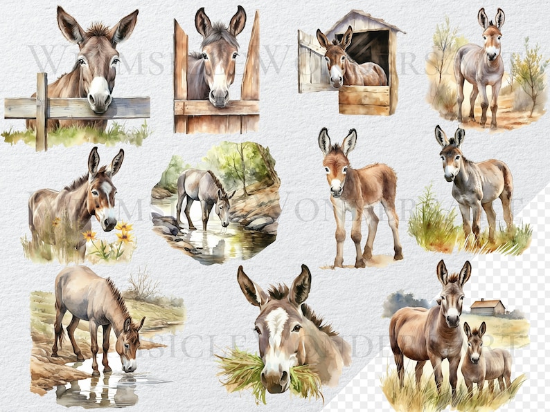 Watercolor Donkey Clipart Bundle, Commercial Use (PNG Digital Download ...