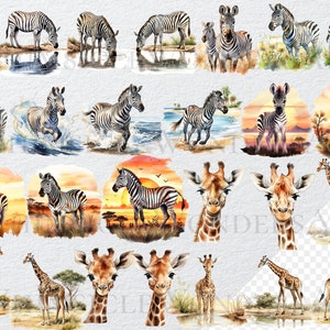 Watercolor Safari Animals Clipart Bundle 200 High Quality PNG Digital ...