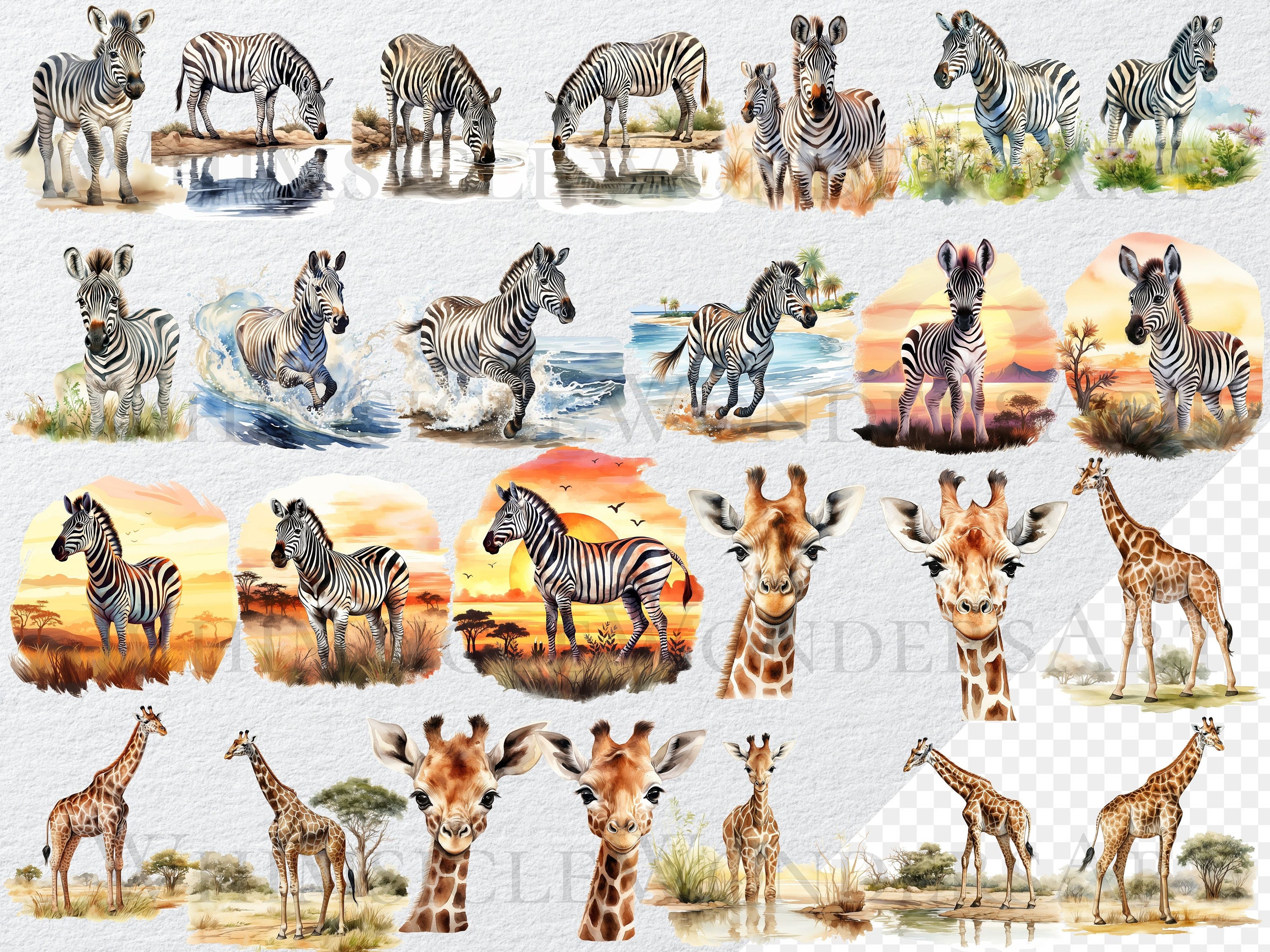 Watercolor Safari Animals Clipart Bundle 200 High Quality PNG Digital ...