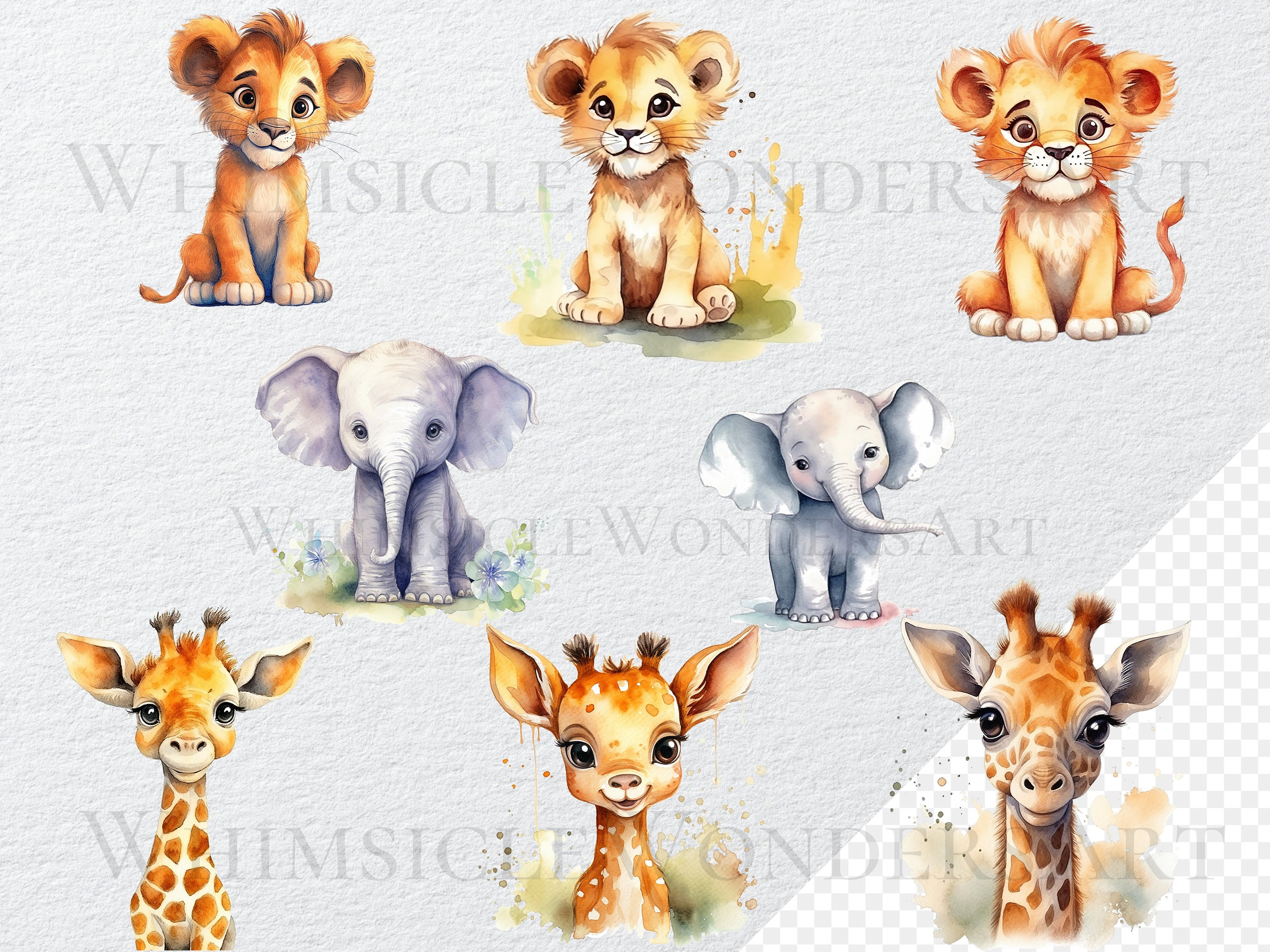 Savannah Clipart Bundle 27 High Quality PNG Digital Download - Etsy