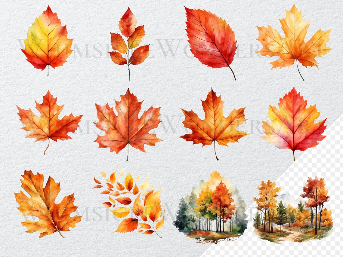 Watercolor Autumn Leaves Clipart Bundle High Quality PNG - Etsy