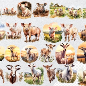 Watercolor Farm Animals Clipart Mega Bundle High Quality PNG Digital ...