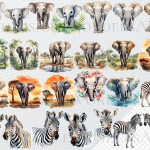 Watercolor Safari Animals Clipart Bundle 200 High Quality PNG Digital ...
