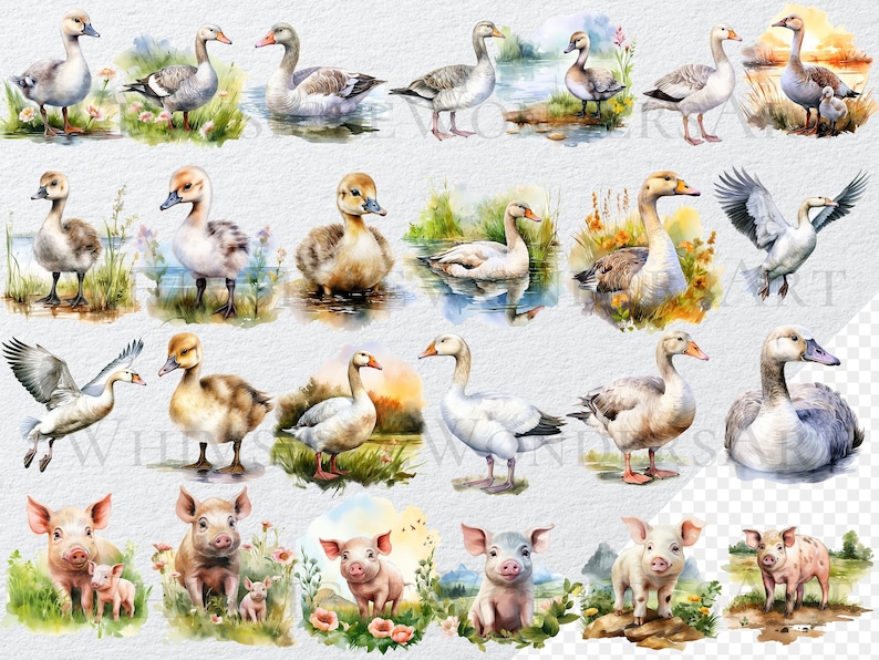 Watercolor Farm Animals Clipart Mega Bundle High Quality PNG - Etsy