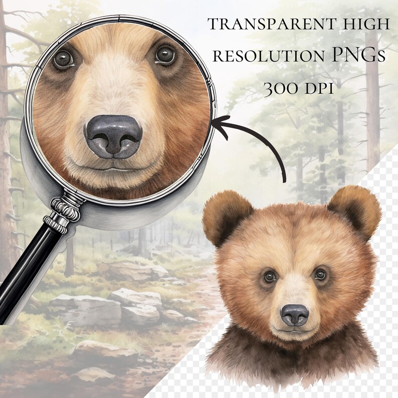 Watercolor Bear Clipart Bundle High Quality PNG Digital Download ...