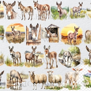 Watercolor Farm Animals Clipart Mega Bundle High Quality PNG Digital ...