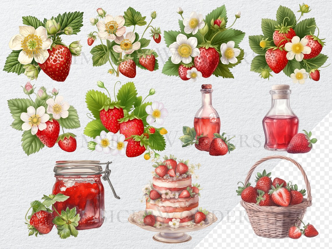 Strawberry Clipart Bundle 22 High Quality PNG Digital Download ...