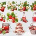 Strawberry Clipart Bundle 22 High Quality PNG Digital Download ...