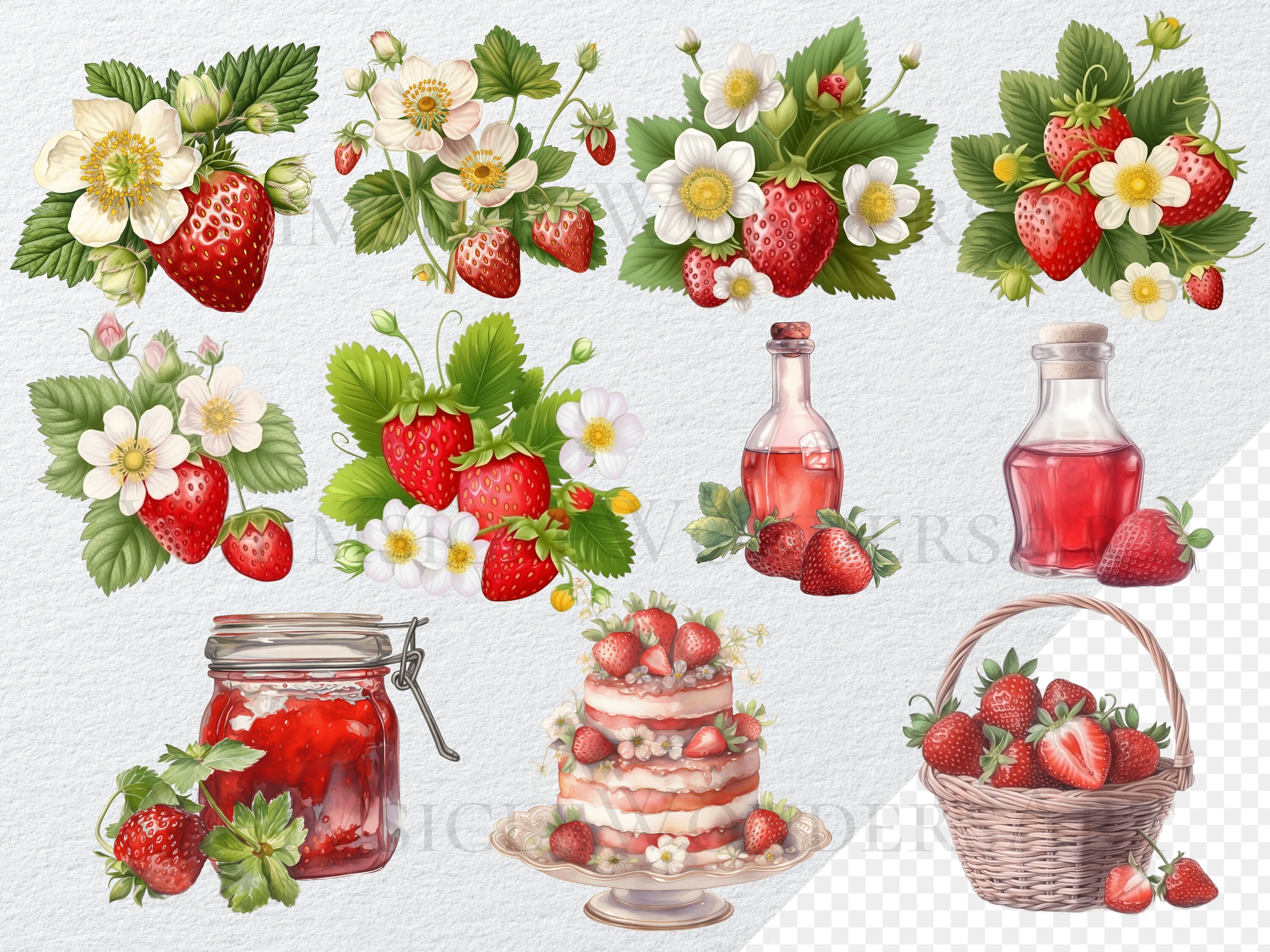 Strawberry Clipart Bundle 22 High Quality PNG Digital Download ...