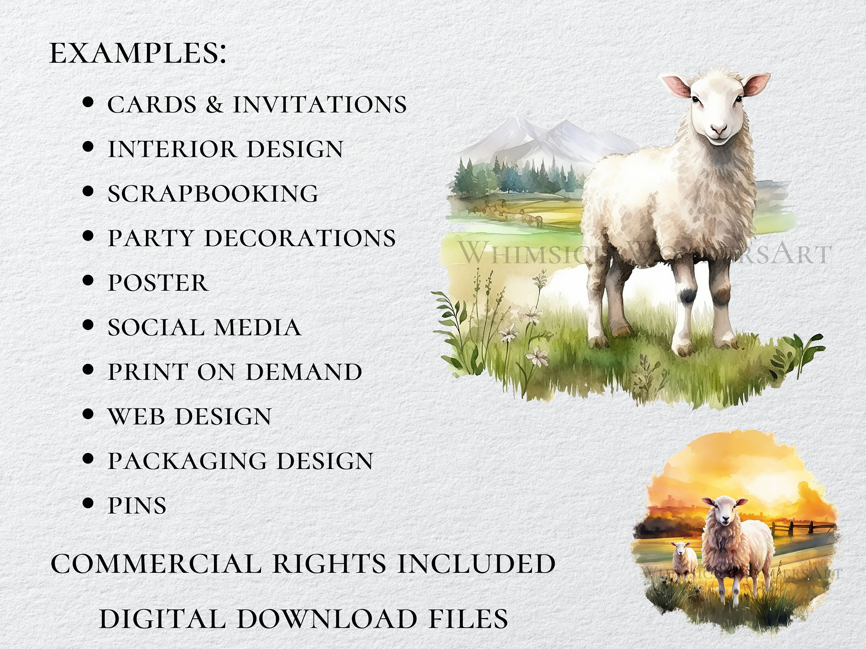 Watercolor Sheep Clipart Bundle, Farm Animal PNG (digital Download) - Etsy