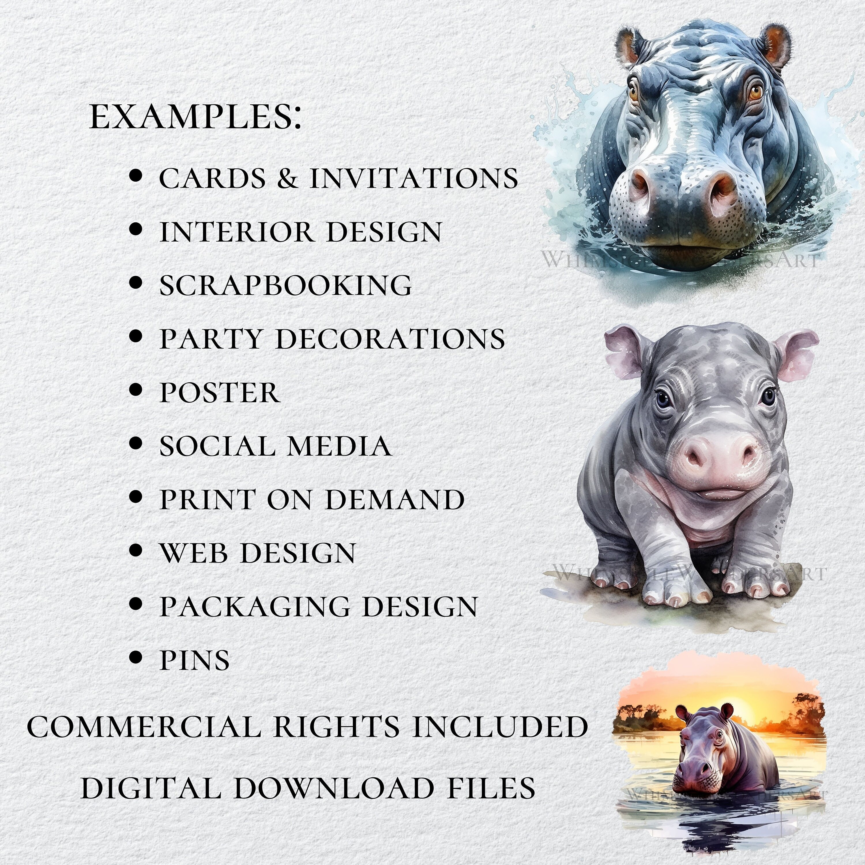 Watercolor Hippo Clipart Bundle 10 High Quality PNG Digital Download ...