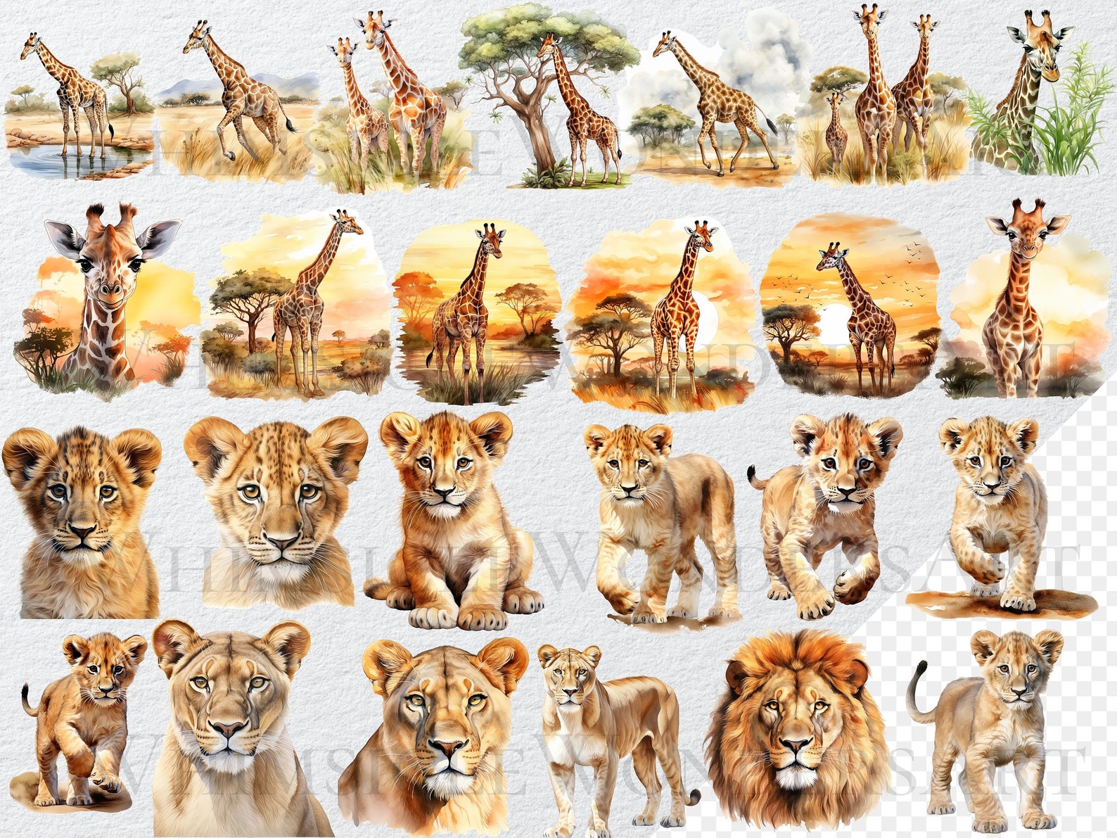 Watercolor Safari Animals Clipart Bundle 200 High Quality PNG Digital ...