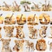 Watercolor Safari Animals Clipart Bundle 200 High Quality PNG Digital ...