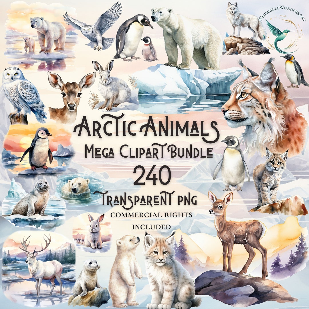 Watercolor Arctic Animals Clipart Bundle High Quality PNG Digital ...