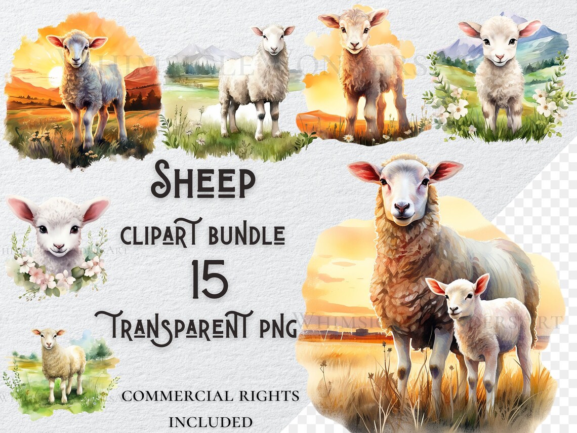 Watercolor Sheep Clipart Bundle 15 High Quality PNG Digital Download ...