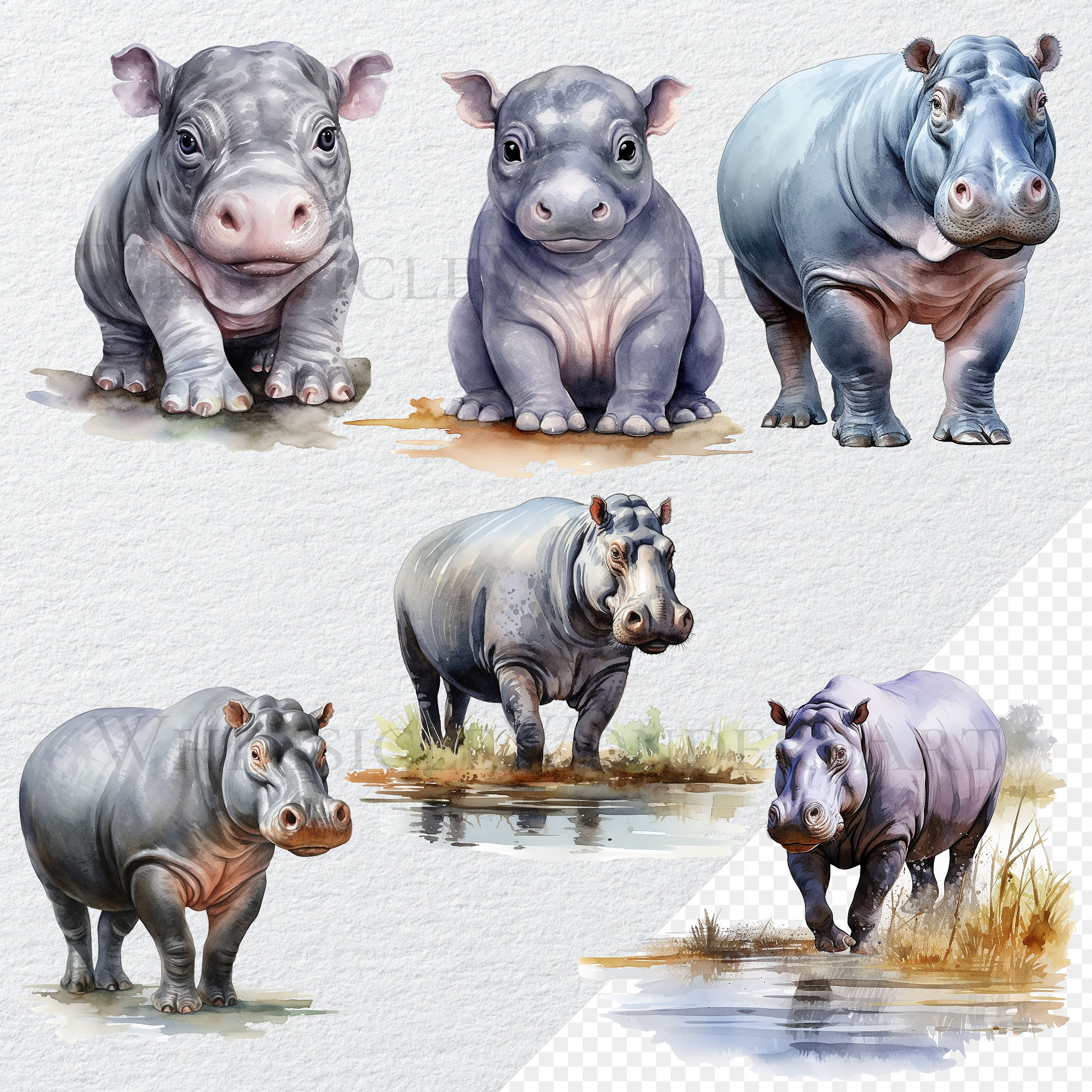 Watercolor Hippo Clipart Bundle 10 High Quality PNG Digital Download ...