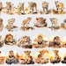 Watercolor Safari Animals Clipart Bundle 200 High Quality PNG Digital ...