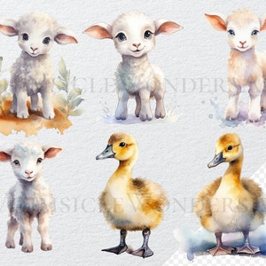 Farm Animals Clipart Bundle 22 High Quality PNG Digital Download ...