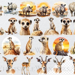Watercolor Safari Animals Clipart Bundle 200 High Quality PNG Digital ...