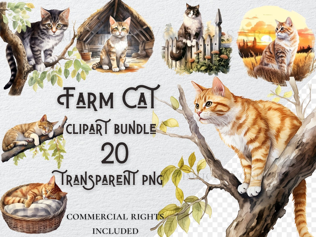 Watercolor Farm Cat Clipart Bundle 20 High Quality PNG Digital - Etsy