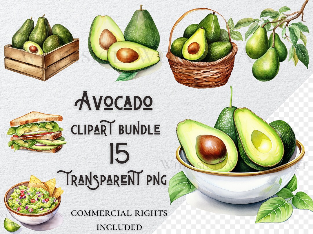 Watercolor Avocado Clipart Bundle, Transparent PNG (digital Download ...