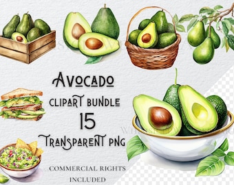 Watercolor Seaturtle Clipart Bundle High Quality PNG Digital - Etsy