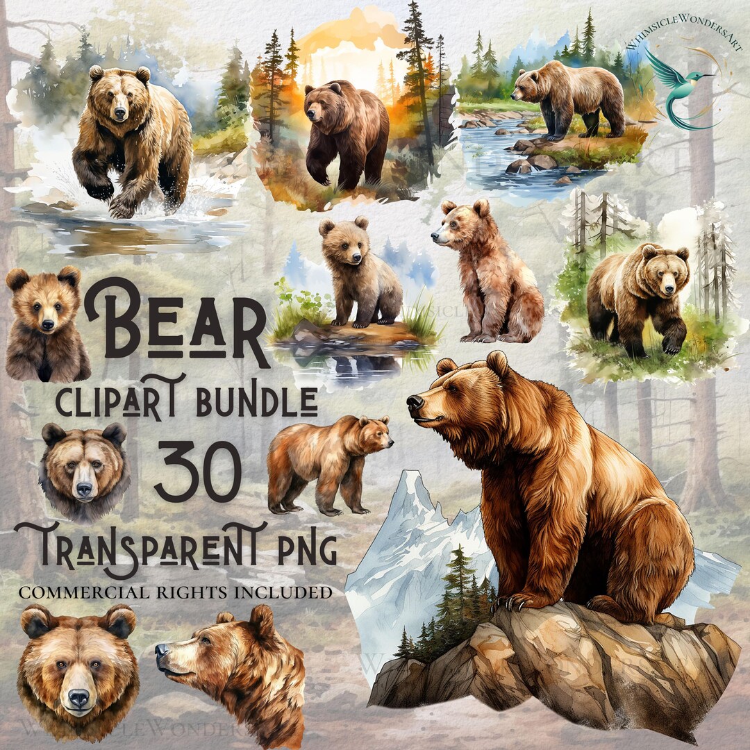 Watercolor Bear Clipart Bundle High Quality PNG Digital Download ...