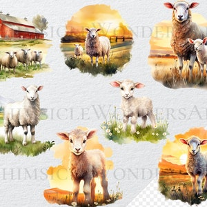 Watercolor Sheep Clipart Bundle 15 High Quality PNG Digital Download ...