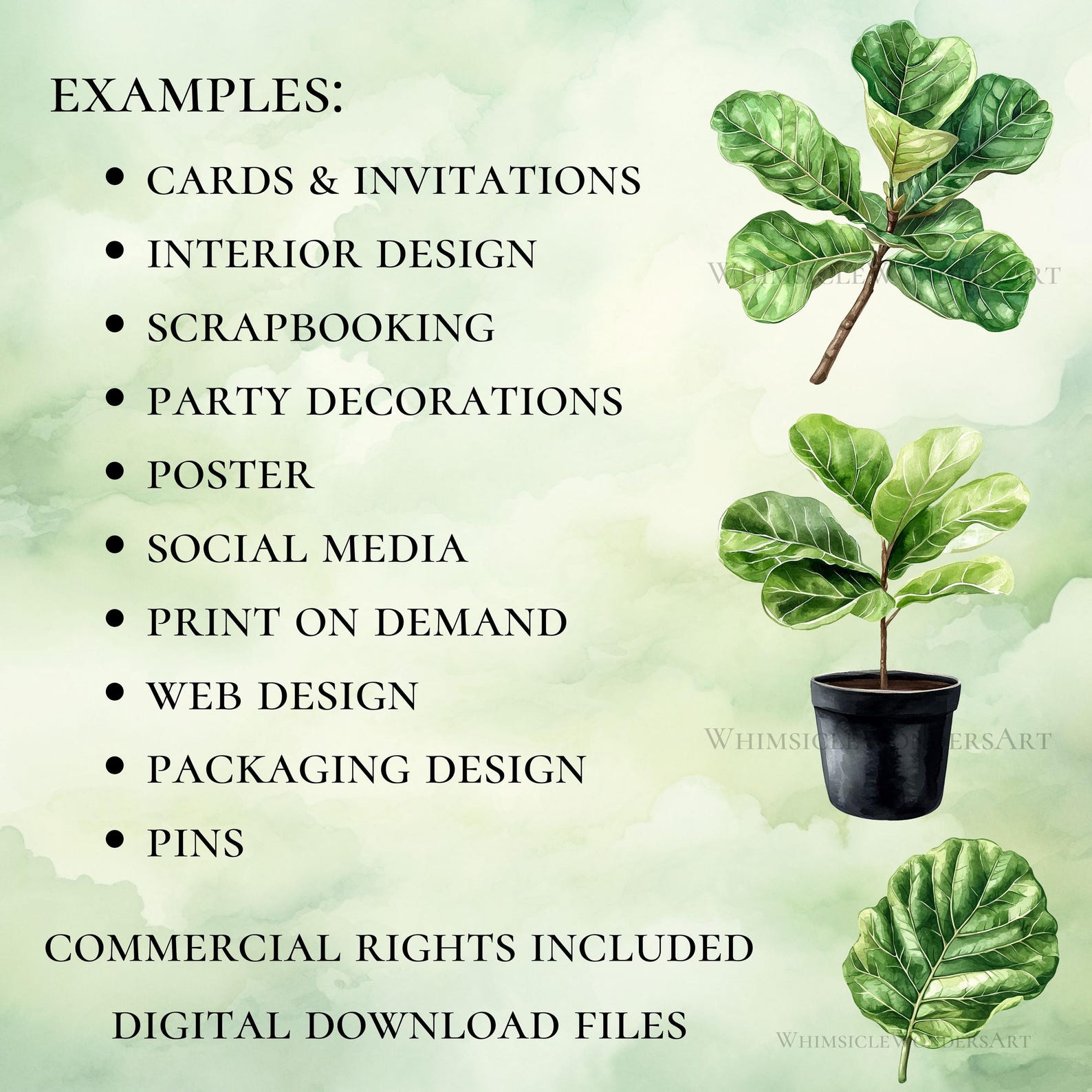 Watercolor Fiddle Leaf Fig Clipart Bundle (30 PNG) - Etsy