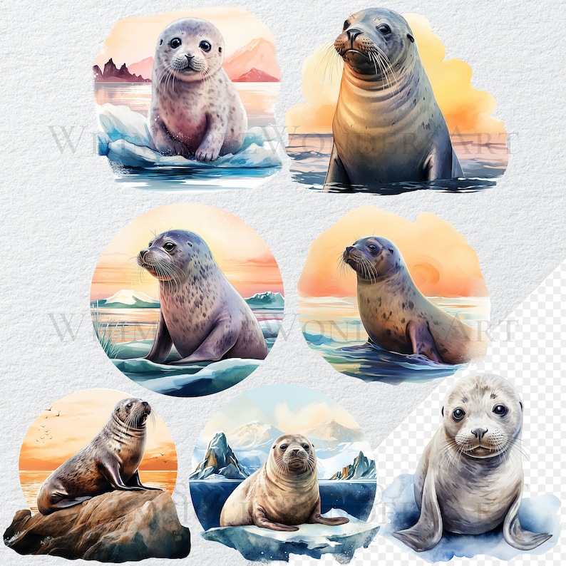 Watercolor Seal Clipart Bundle, 21 PNG Graphics (commercial Use) - Etsy