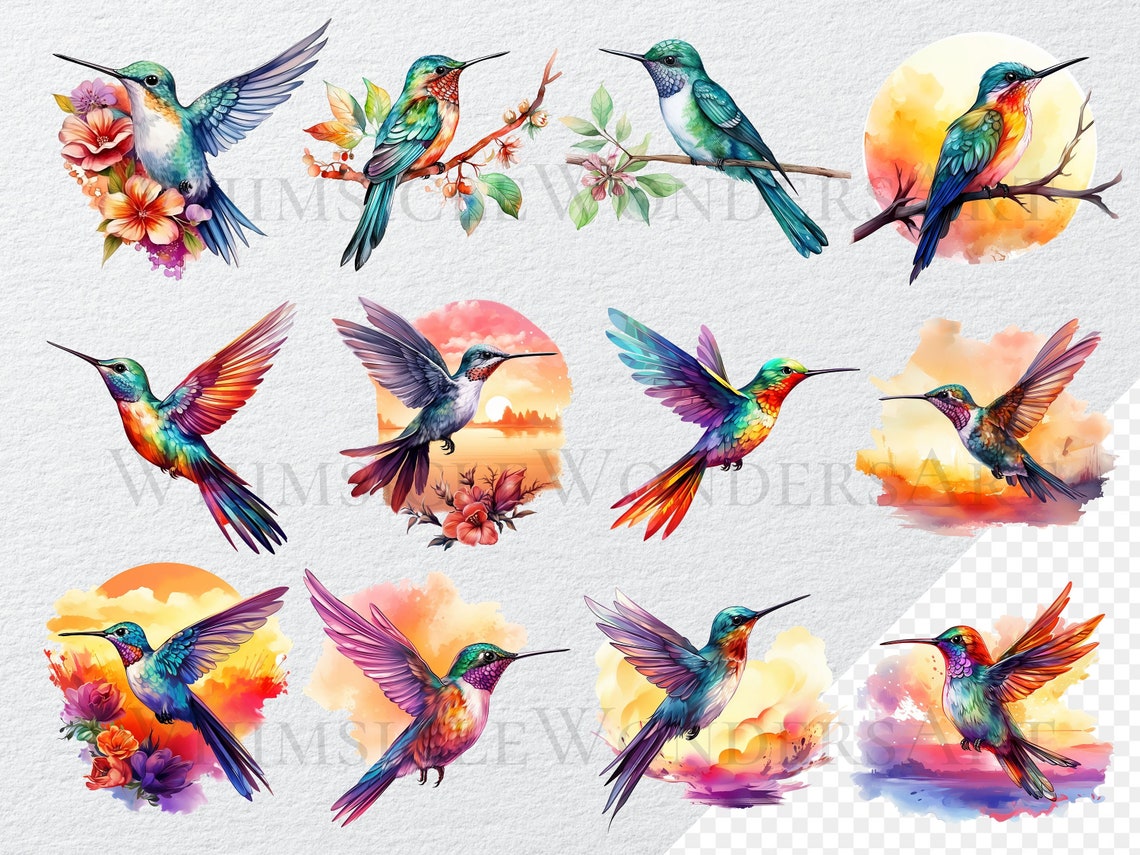 Watercolor Hummingbird Clipart Bundle, PNG, Commercial Use (digital ...