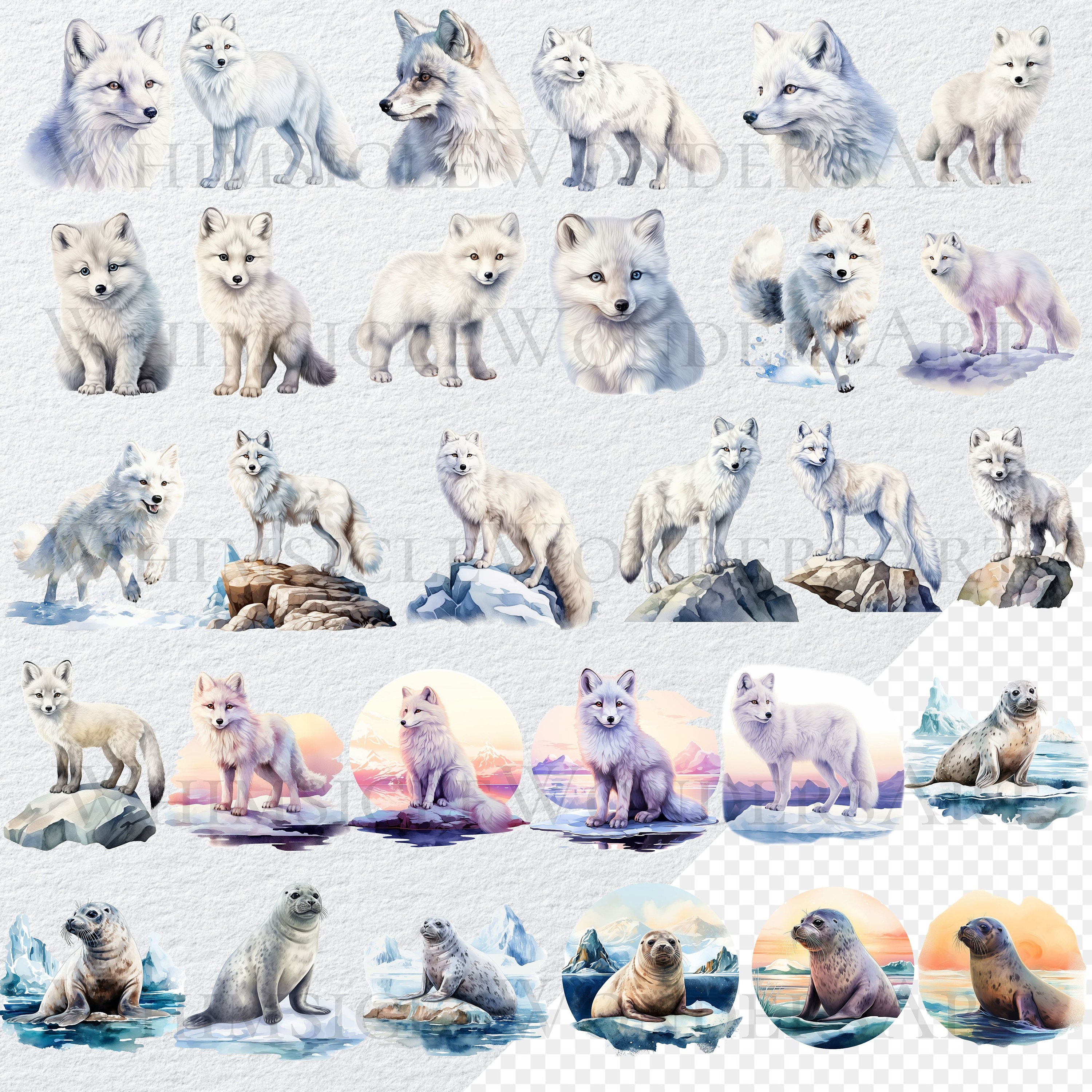 Watercolor Arctic Animals Clipart Bundle High Quality PNG Digital ...