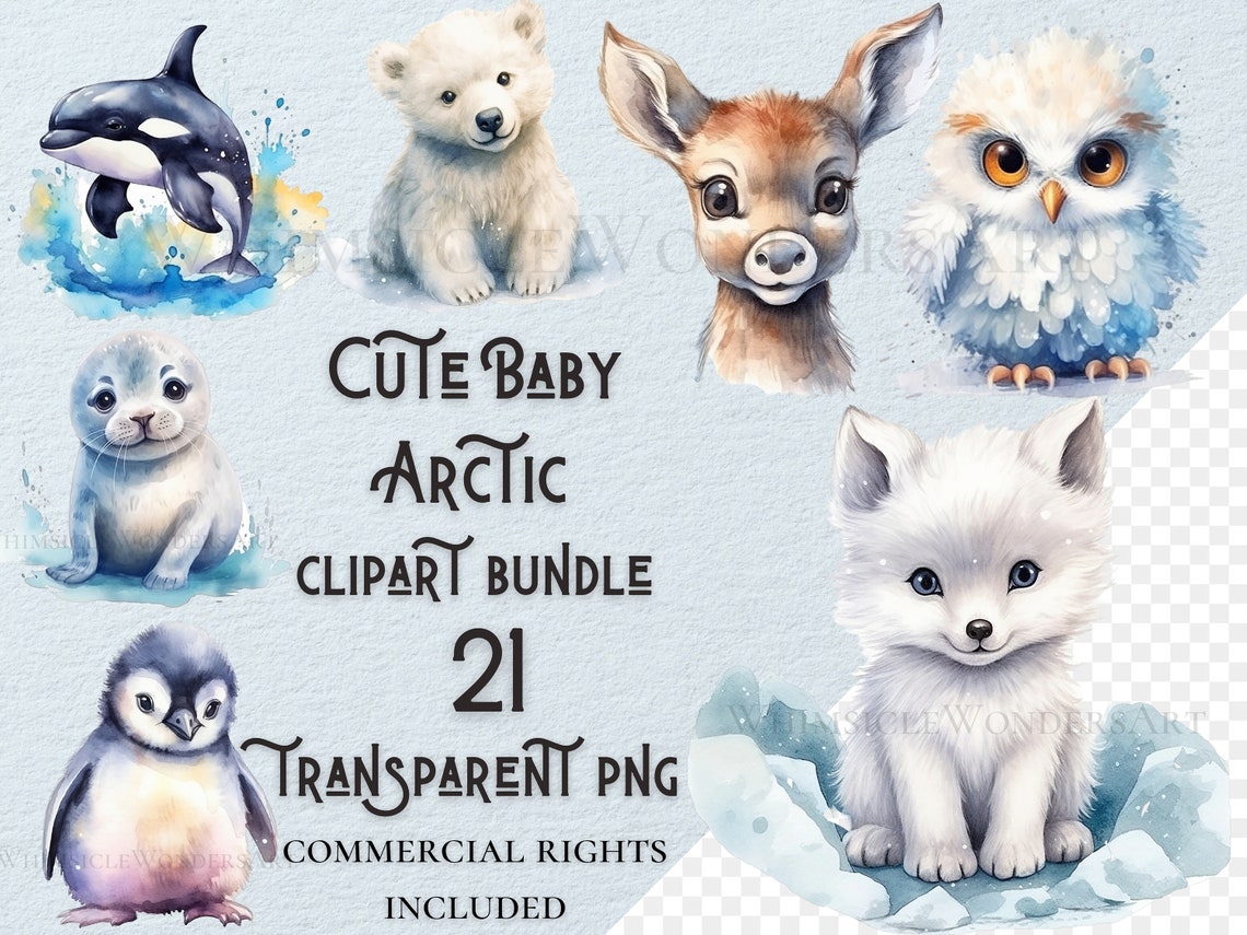 Arctic Clipart Bundle 21 High Quality PNG Digital Download Commercial ...