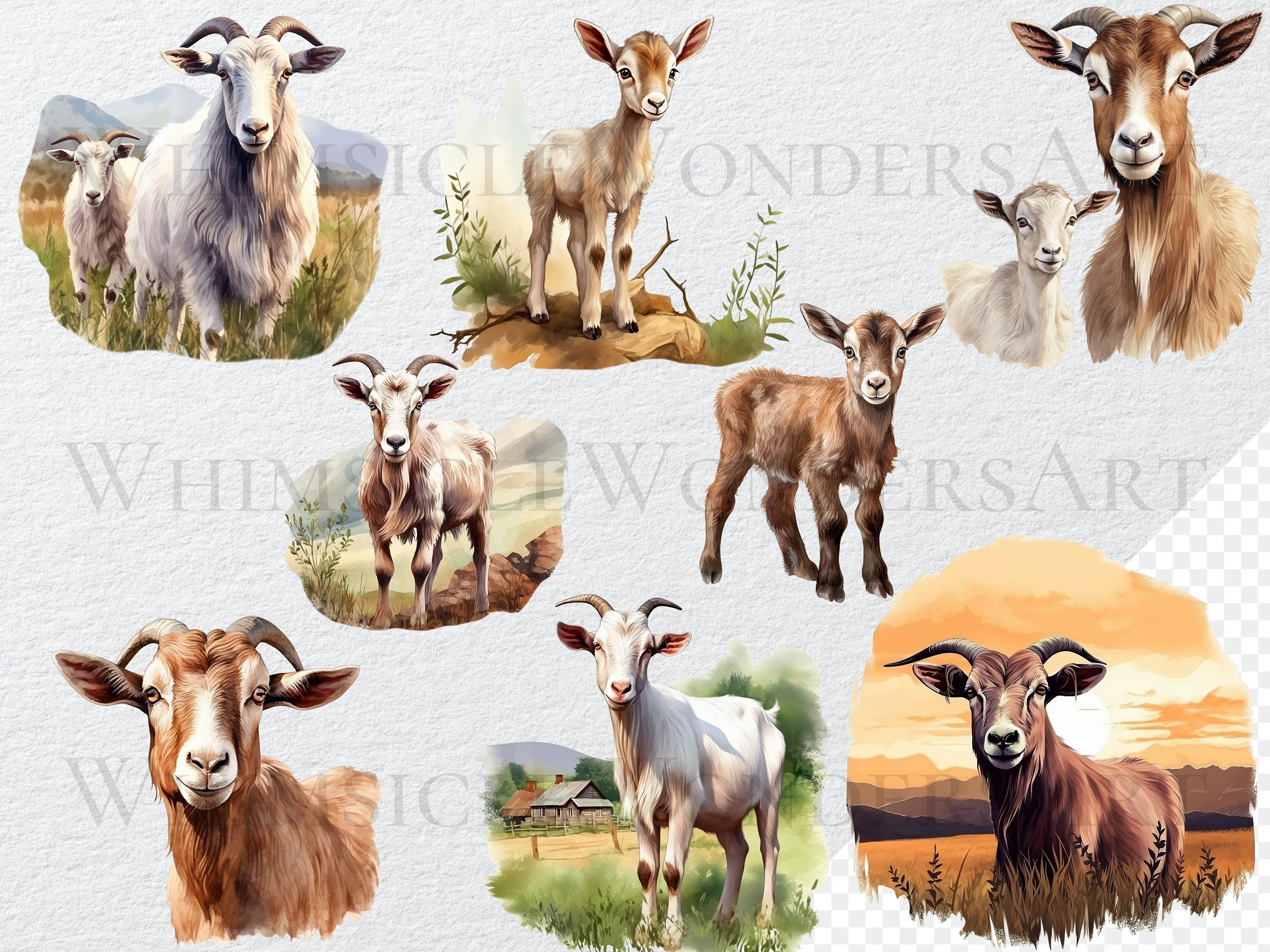 Watercolor Goat Clipart Bundle 15 High Quality PNG Digital Download ...