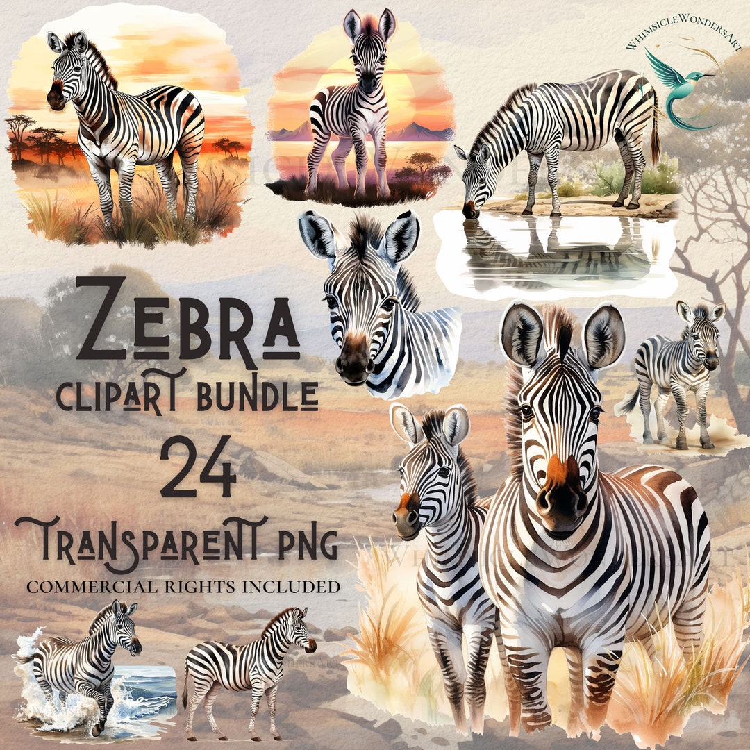 Watercolor Zebra Clipart Bundle, Transparent PNG (digital Download) - Etsy